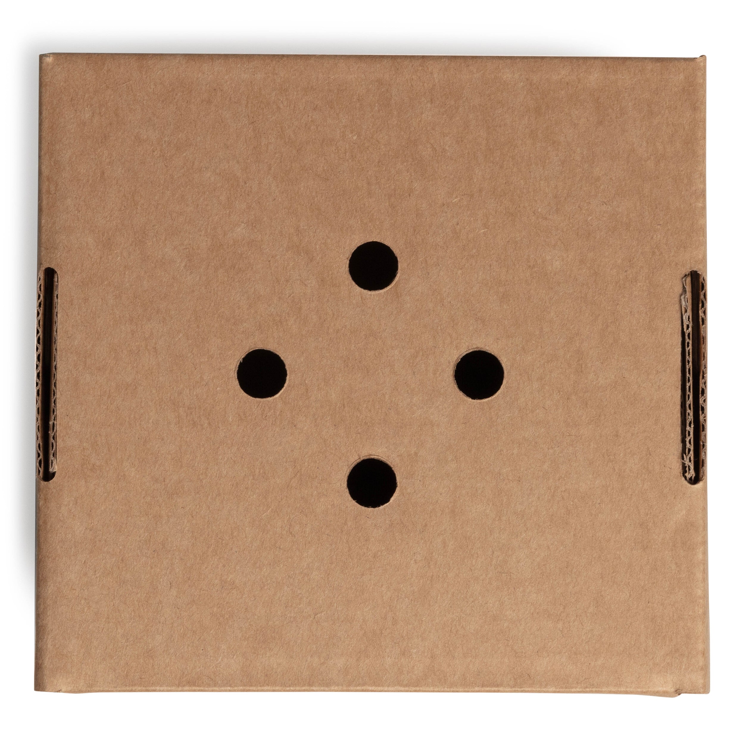 Kraft Delivery Burger Box — Deliveroo Packaging